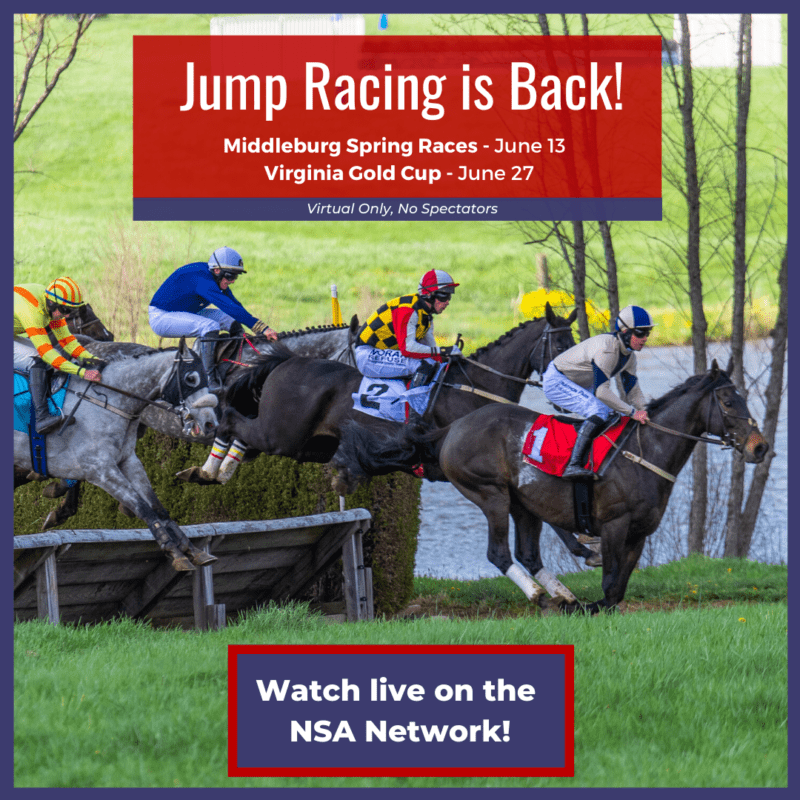 Middleburg Spring Races Livestream | Party Digest