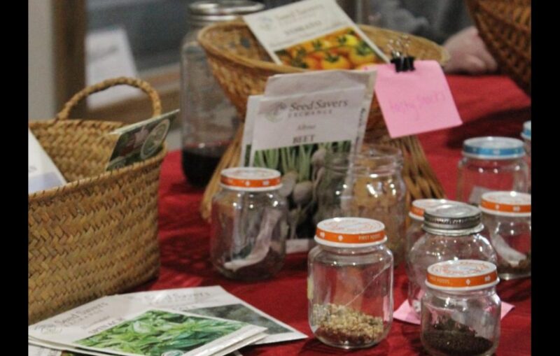 National Seed Swap Day | Party Digest